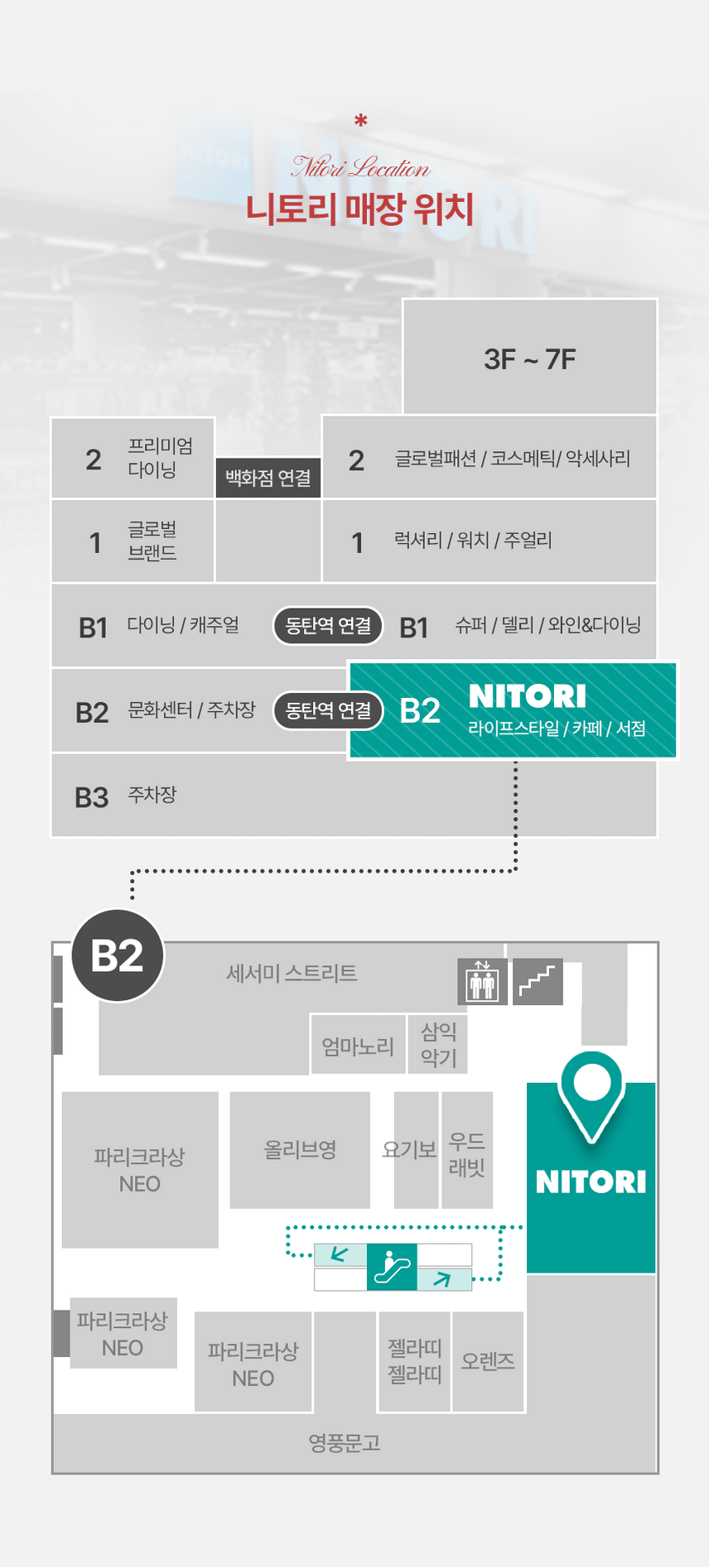 니토리 롯데백화점 동탄점 OPEN SALE — 니토리 코리아